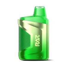 Raz- Miami Mint 6000 Puffs- 10 Pack | Carytown Tobacco Inc.